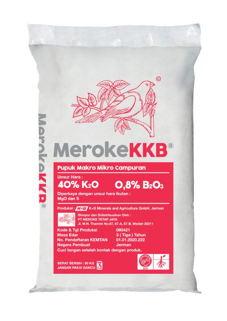 Meroke KKB – Pupuk Mutiara
